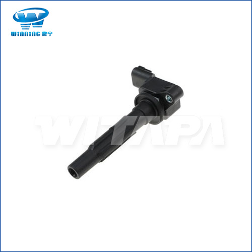 Ignition Coil 24105479 for CHEVROLET - Hefei Winning Auto Parts Co.,Ltd.